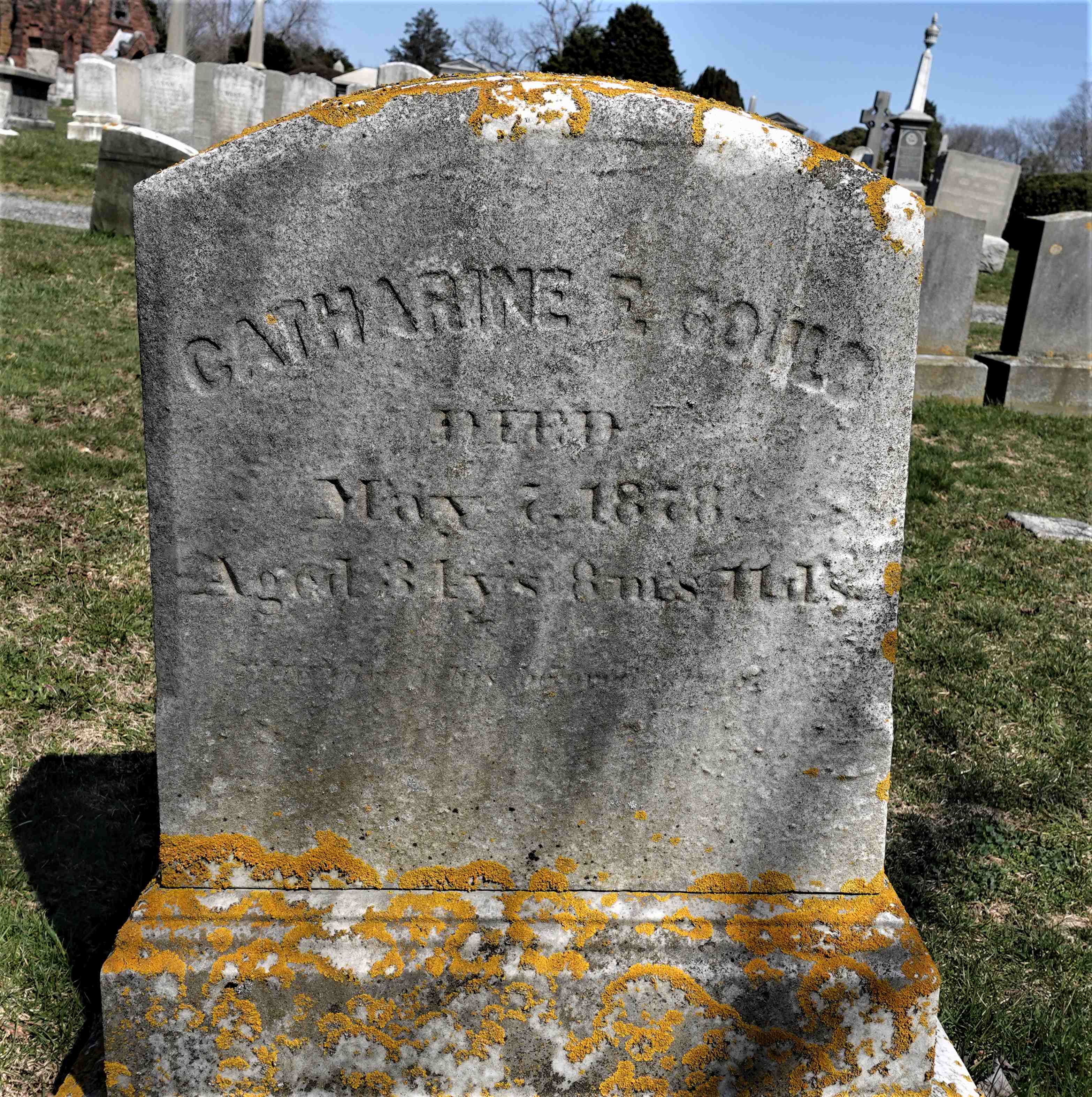 Rhode Island Historic Cemeteries - Person Details